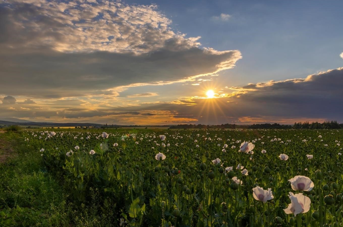 Liptaň – Tipy na výlet i dovolenou – Kudy z nudy